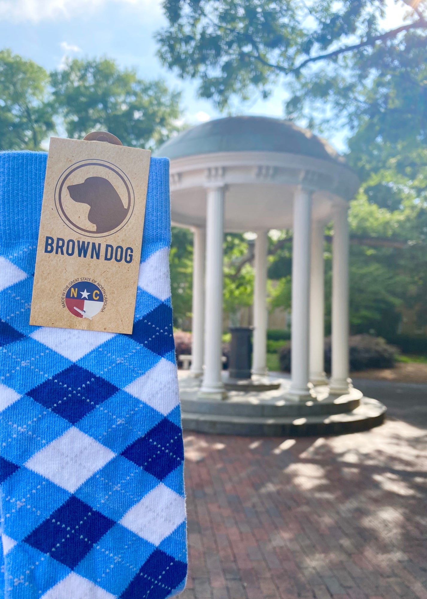 UNC Argyle Socks Adult One Size Carolina Blue and Navy – Shrunken Head